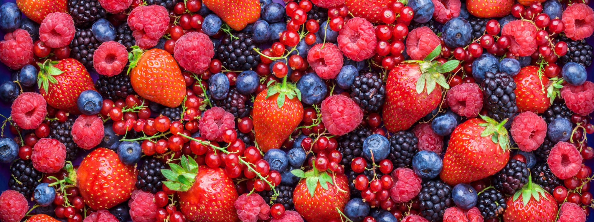 Beeren auf dem Balkon anbauen: So funktioniert's!
